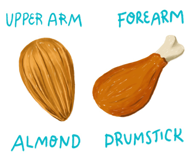 Day 17 // How to Draw Arms • Bardot Brush