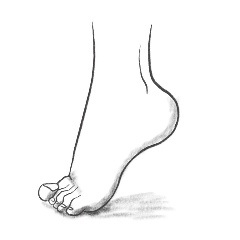 (20+ tutorials for beginners) How to Draw People • Bardot Brush