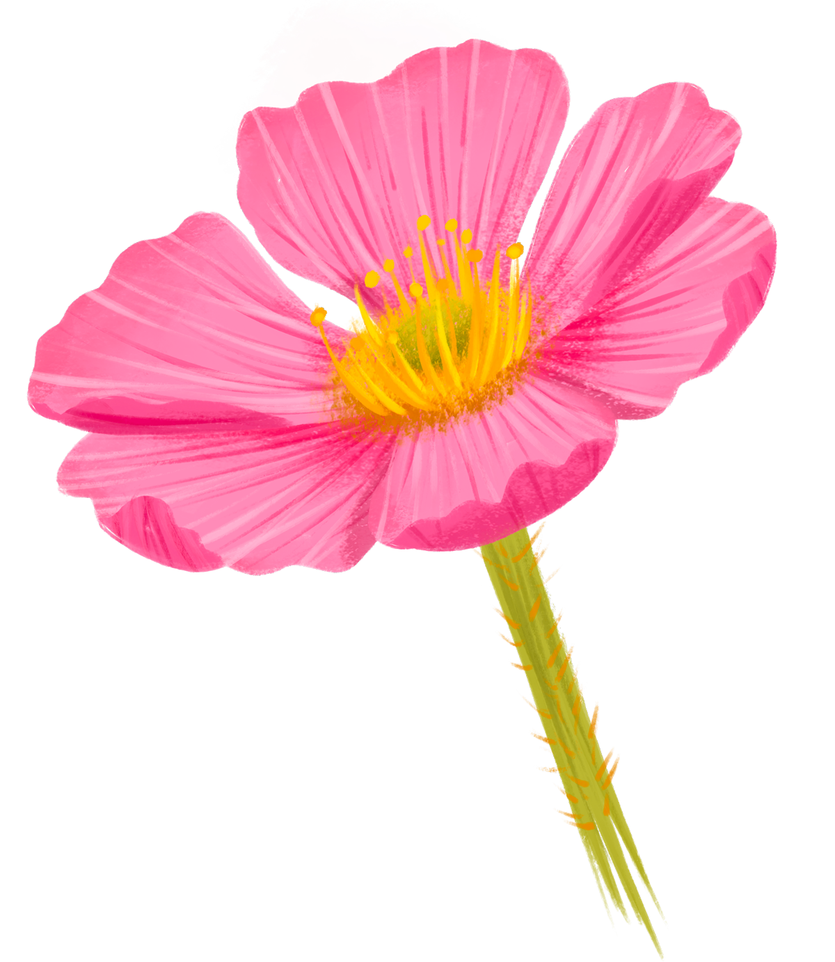 How to Draw Flowers in Procreate • Bardot Brush